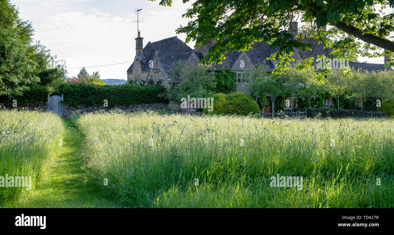 Cotswold stone houses in Wyck Rissington in the late evening light ...