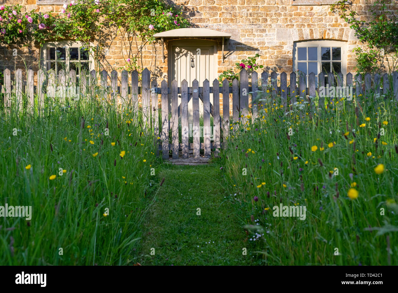 Mown path through long grass to a Cotswold stone cottage. Wyck ...