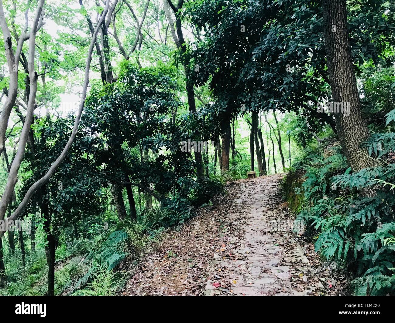 Oxygen bar hi-res stock photography and images - Alamy