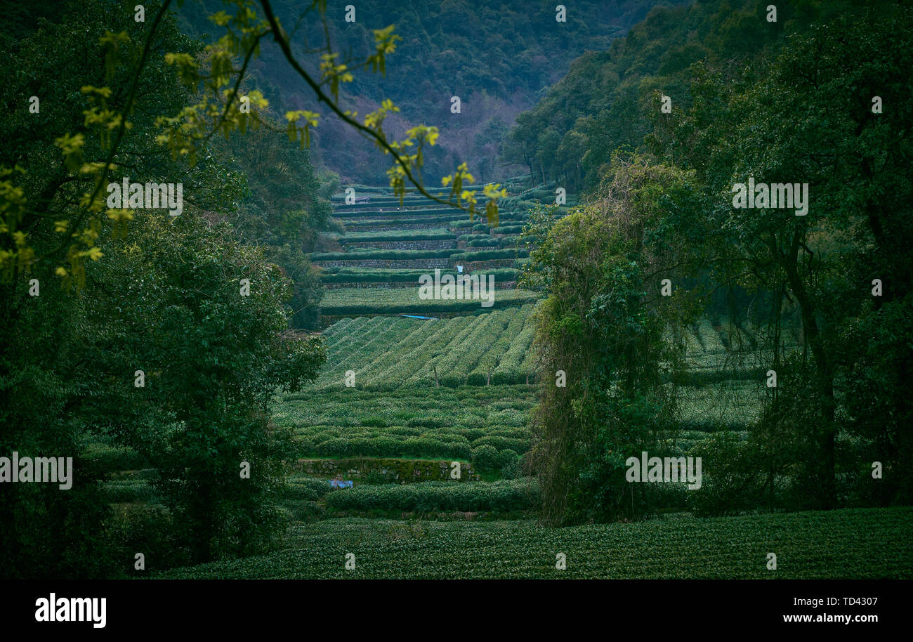 Meijiawu hi-res stock photography and images - Alamy