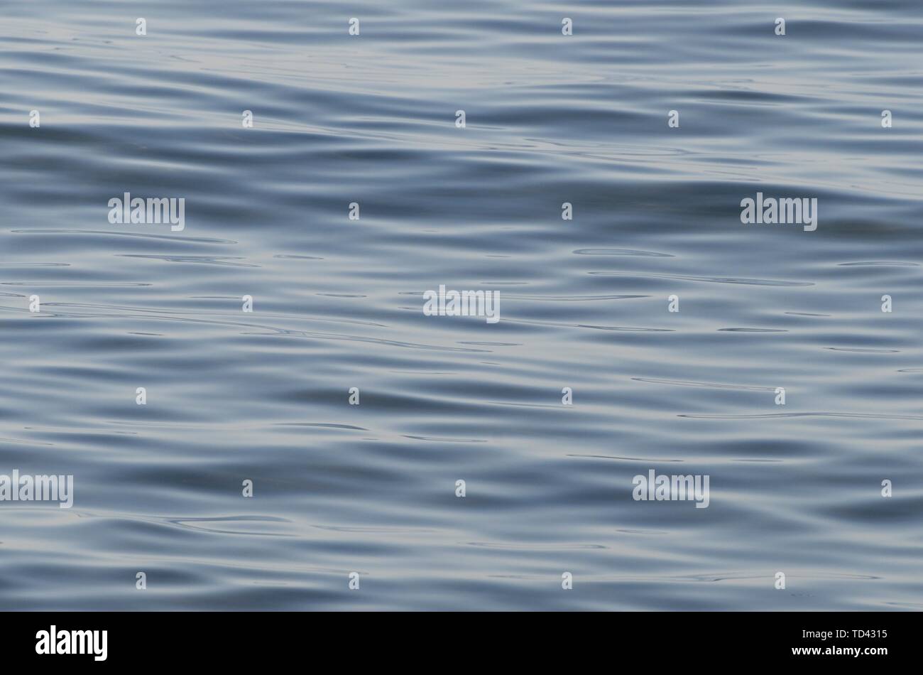 Foreground texture hi-res stock photography and images - Alamy