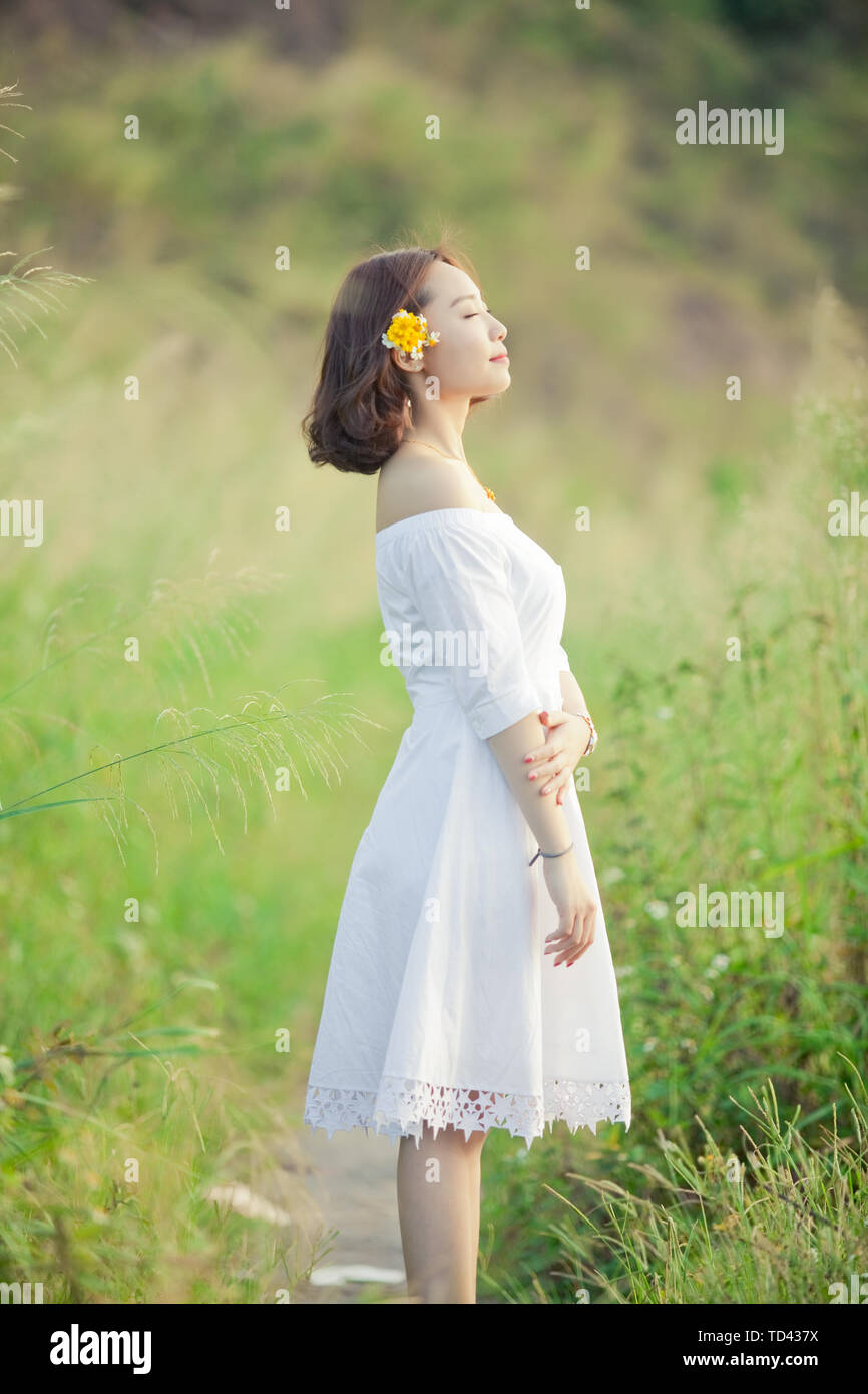 The maiden in the rice field Stock Photo - Alamy