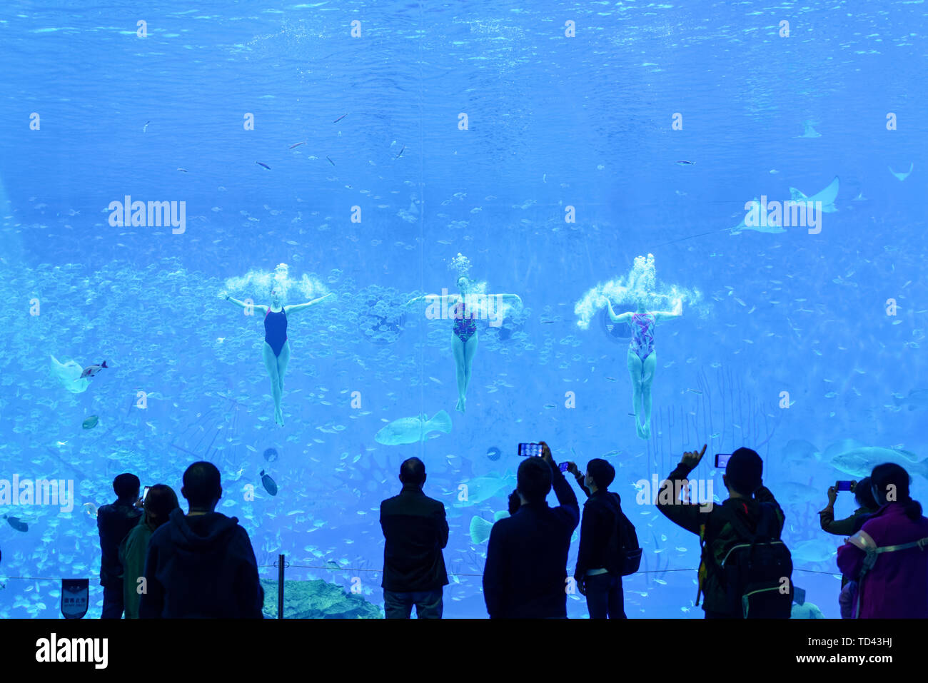 Mermaid performance at Haichang Ocean Park, Shanghai Stock Photo - Alamy