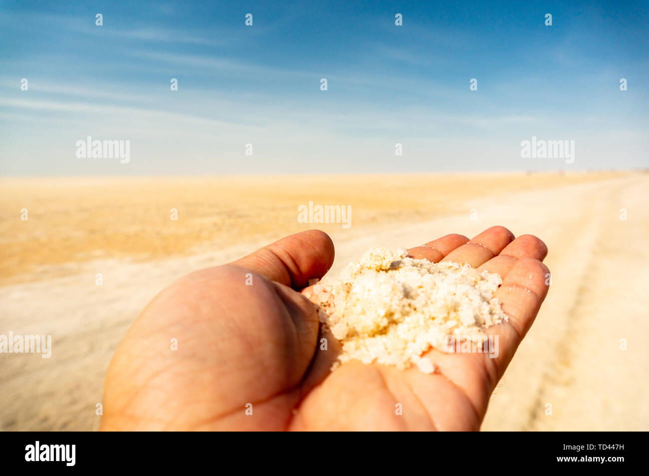Female hand holding up salt from the Rann of Kutchh gujarat india Stock ...