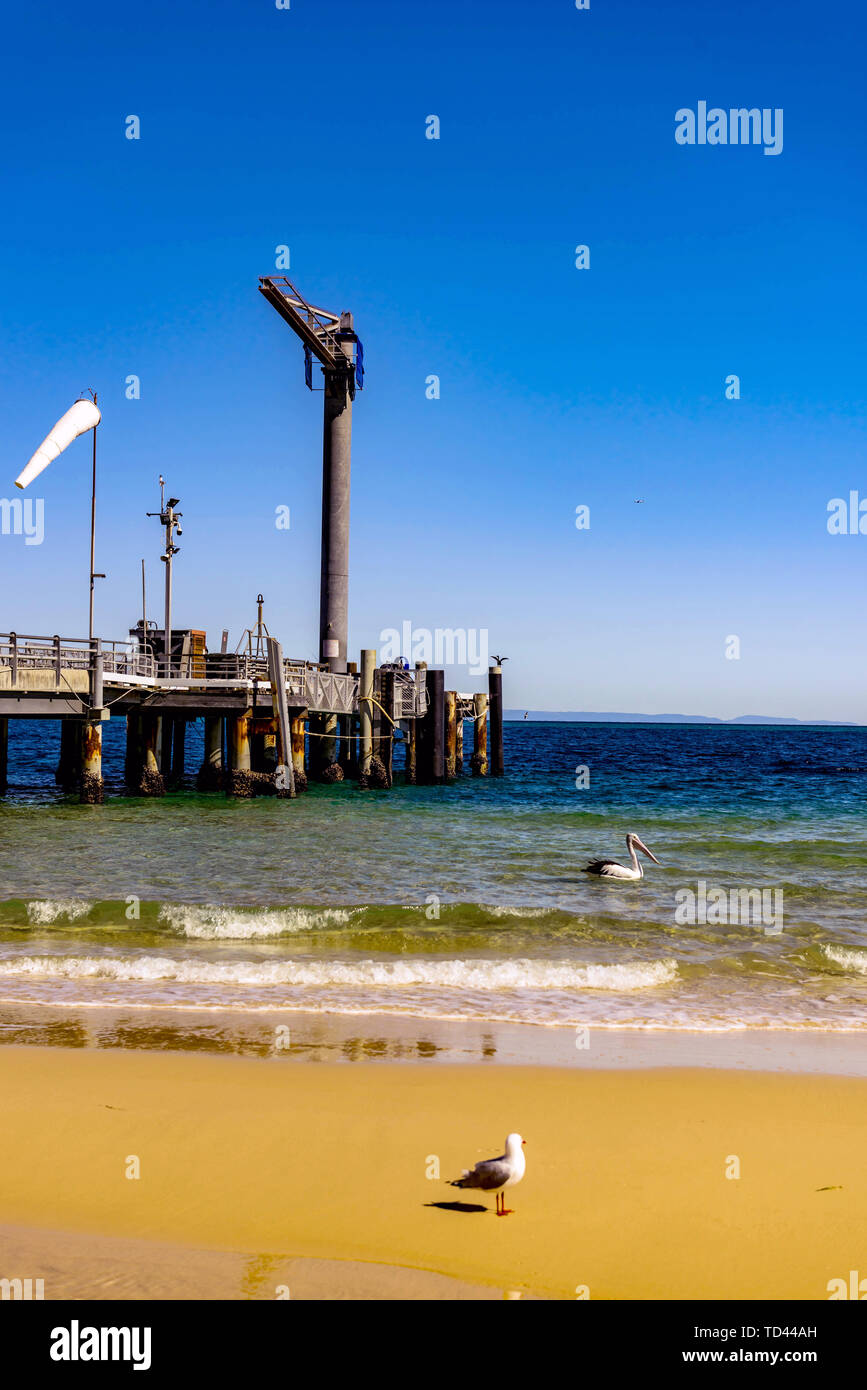 Dolphin Island docks Stock Photo - Alamy