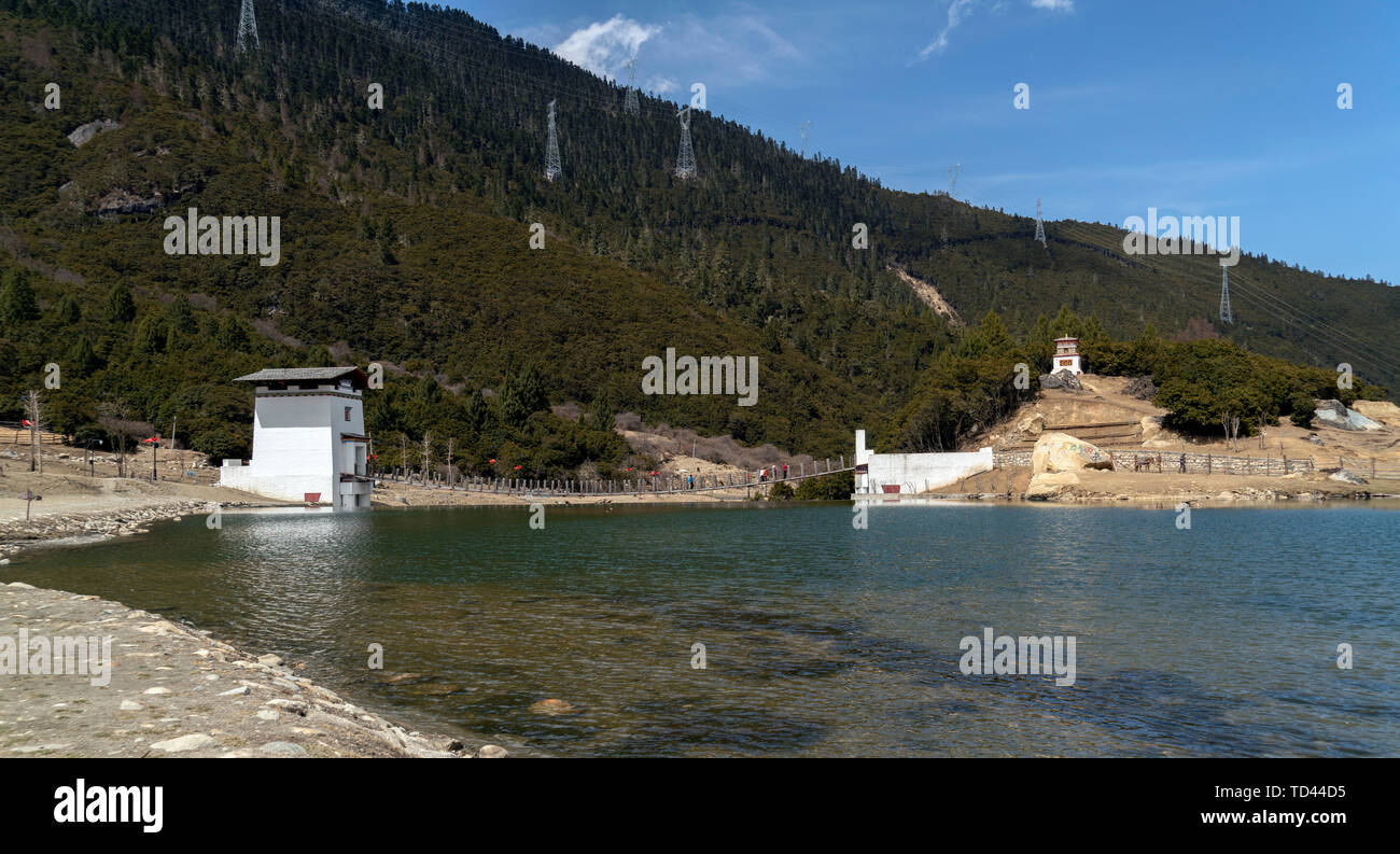 The lulang forest hi-res stock photography and images - Alamy