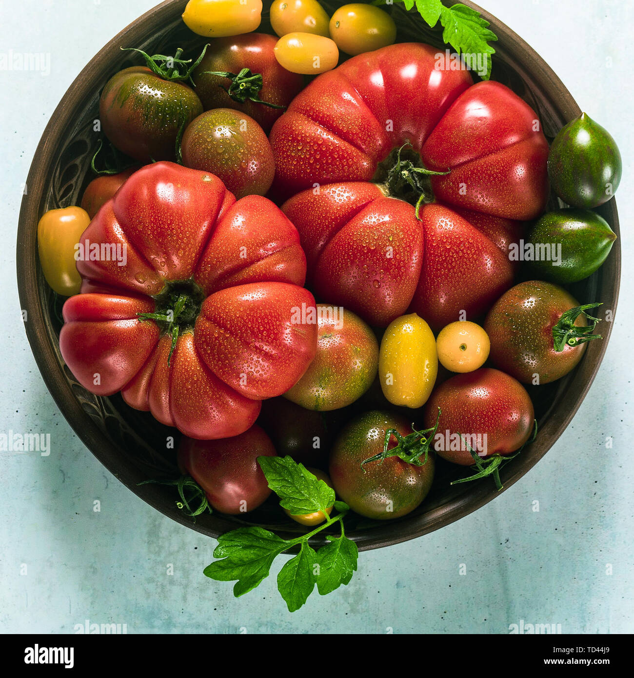 multicolored tomatoes of different colors, shapes and sizes in a clay ...