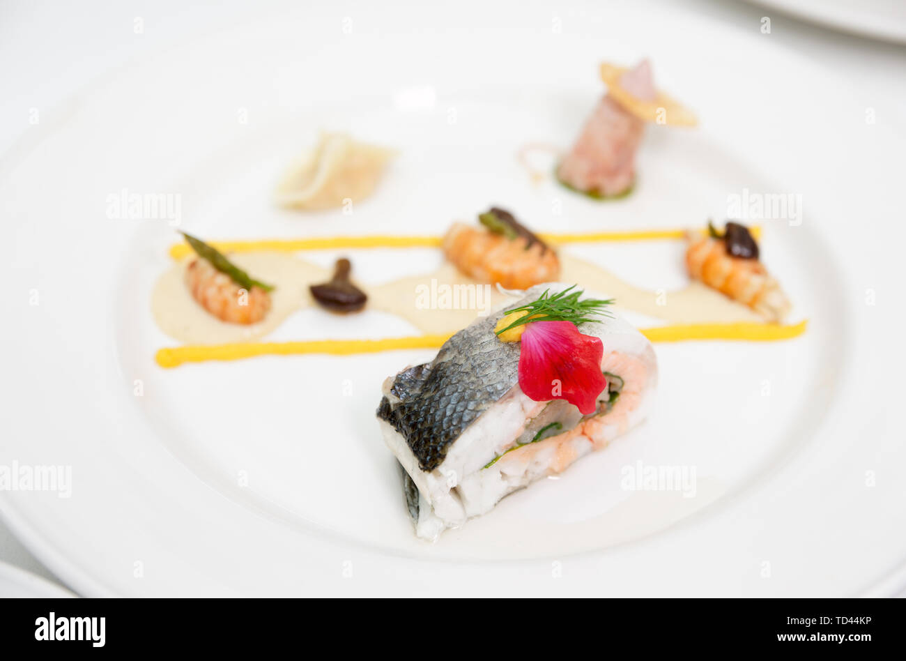 Dish design hi-res stock photography and images - Alamy