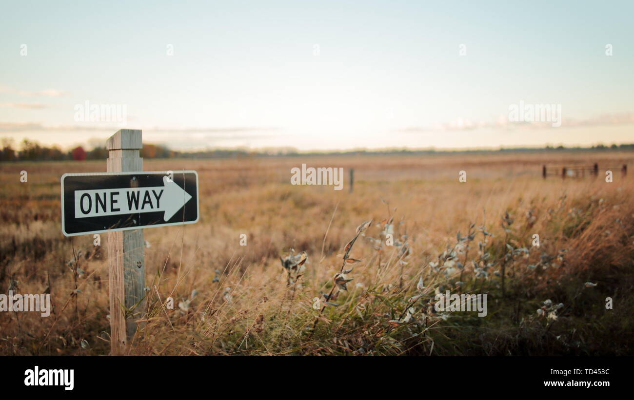 One way street sign in a desolate field of grass Stock Photo - Alamy