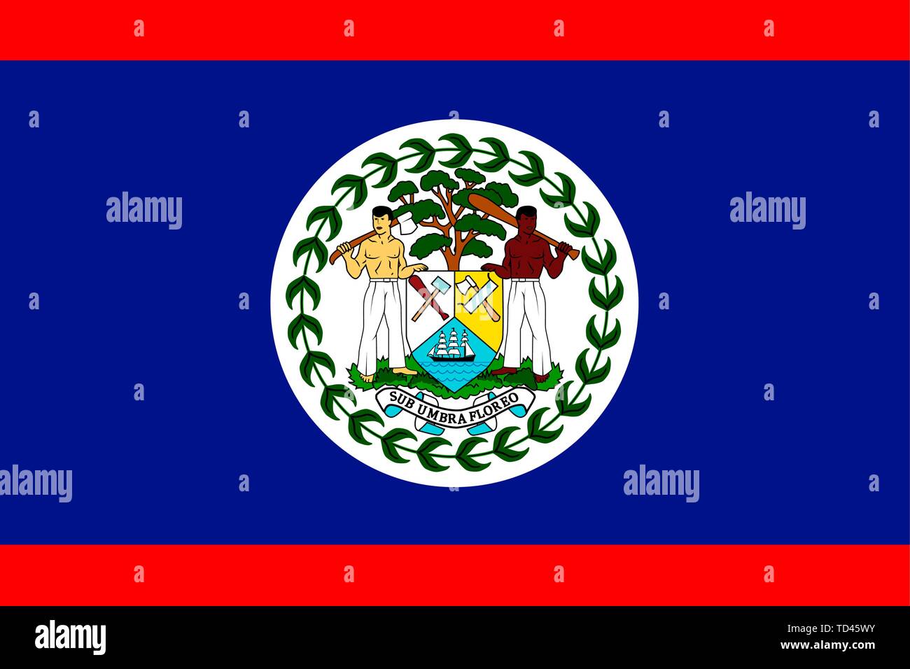 Flag of Belize. Accurate dimensions, element proportions and colors ...