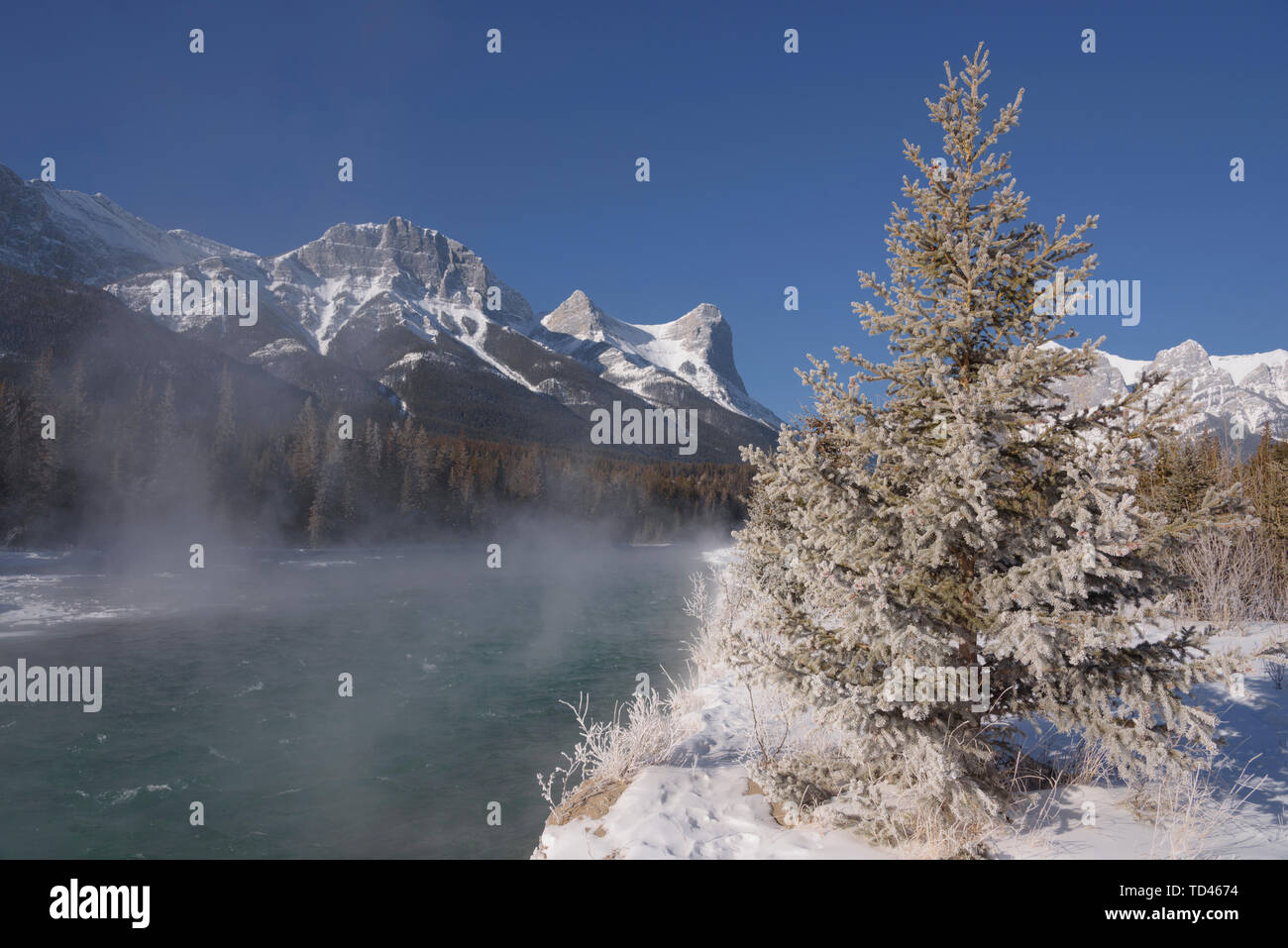 Ha ling hi-res stock photography and images - Alamy