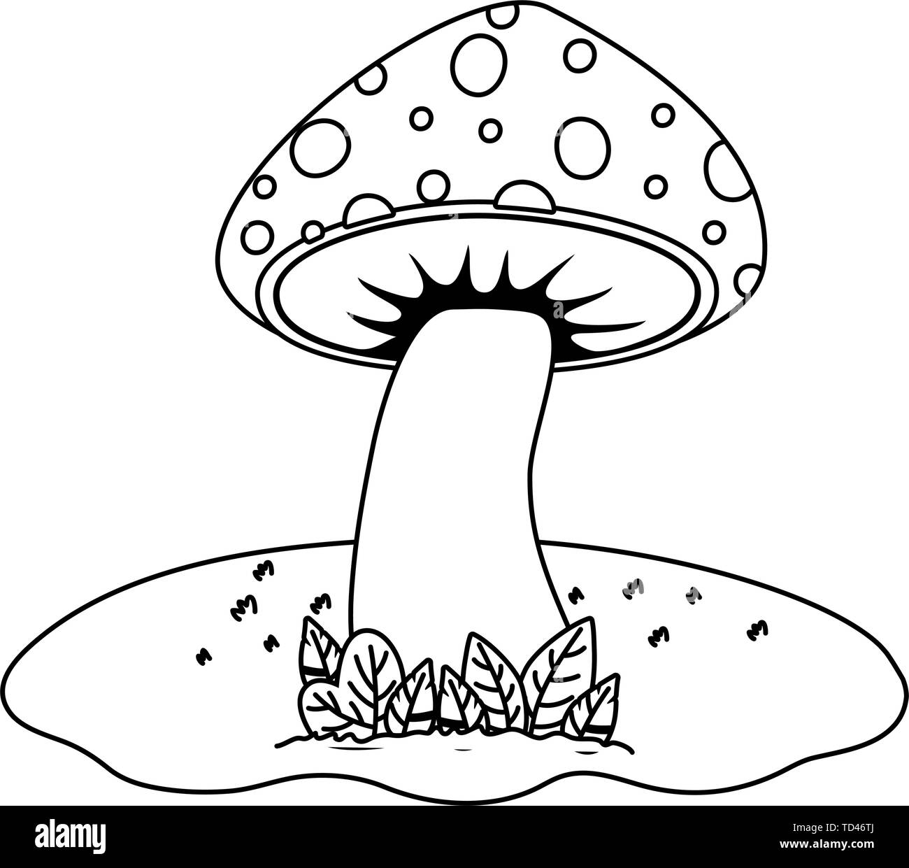 Fungi Black and White Stock Photos & Images - Alamy