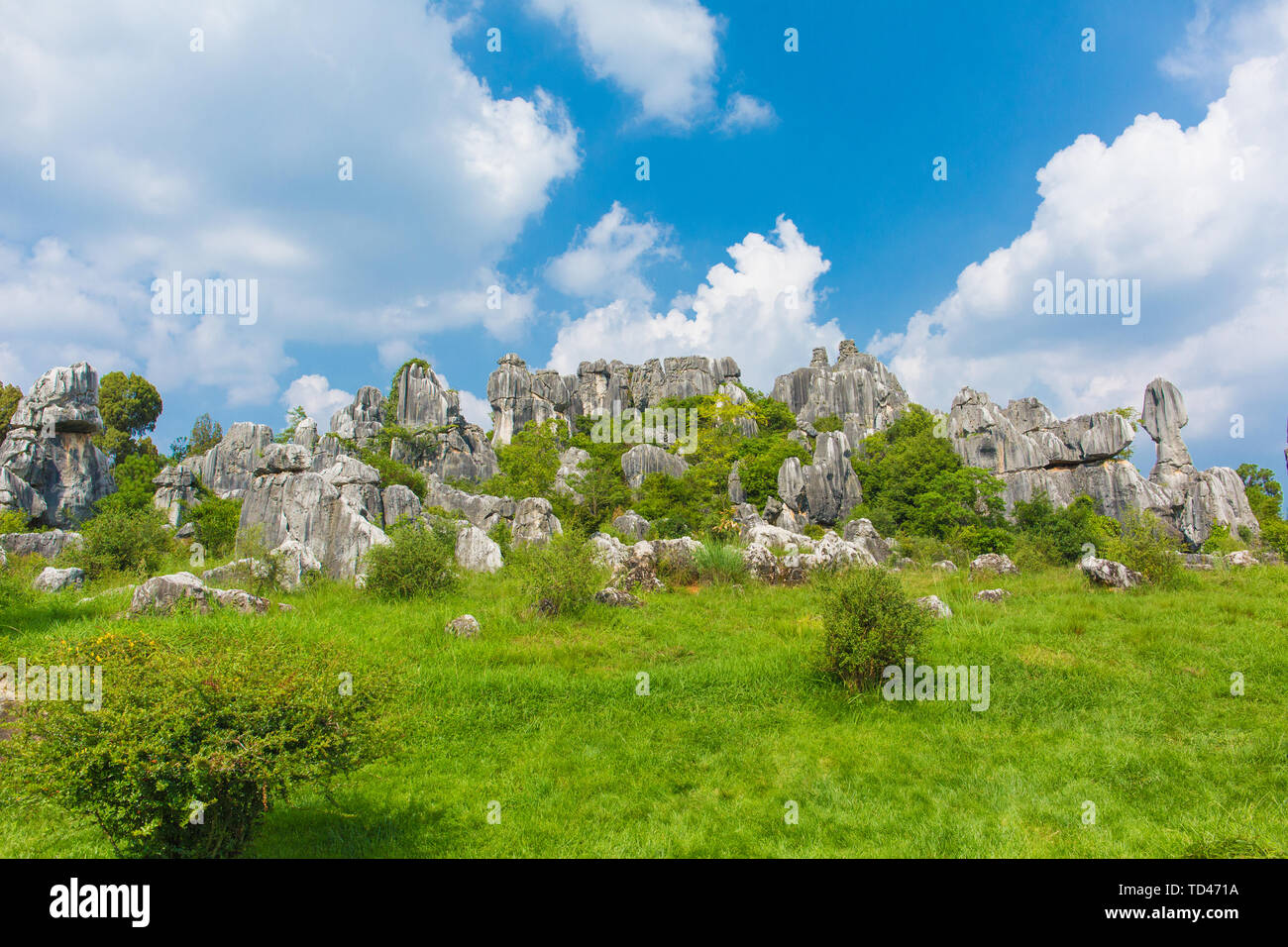 The strange stone of the stone forest scenic spot in Kunming Stock ...