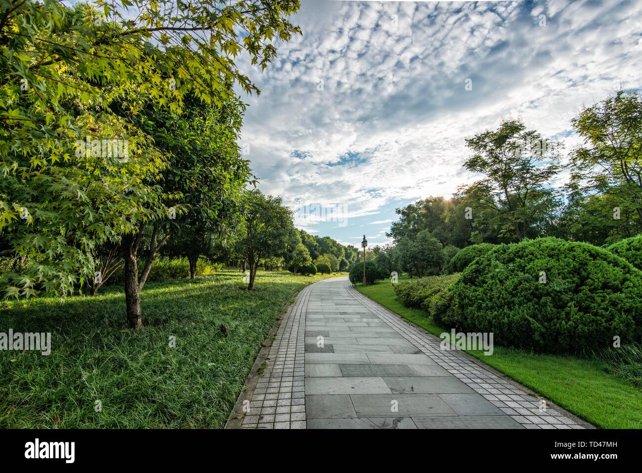 Road landscape with no one tree guide hi-res stock photography and ...