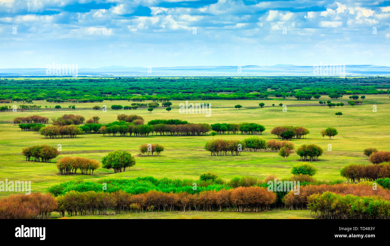 Summer in Hulunbuir Prairie, Inner Mongolia Stock Photo - Alamy