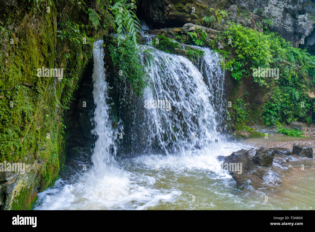 Creek waterfalls in the forest in the mountains Stock Photo - Alamy