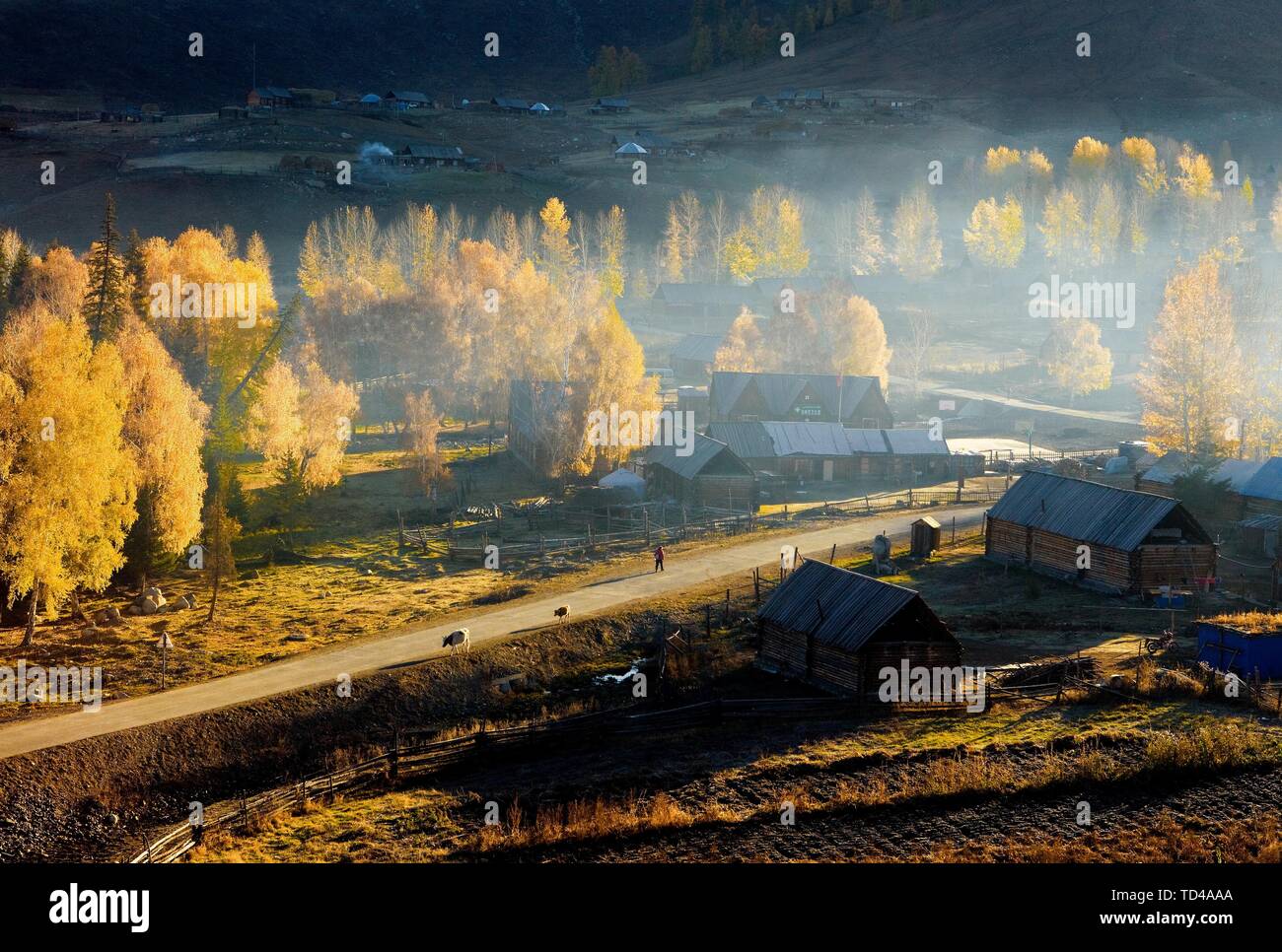 Northern Xinjiang, white haba, autumn color Stock Photo - Alamy