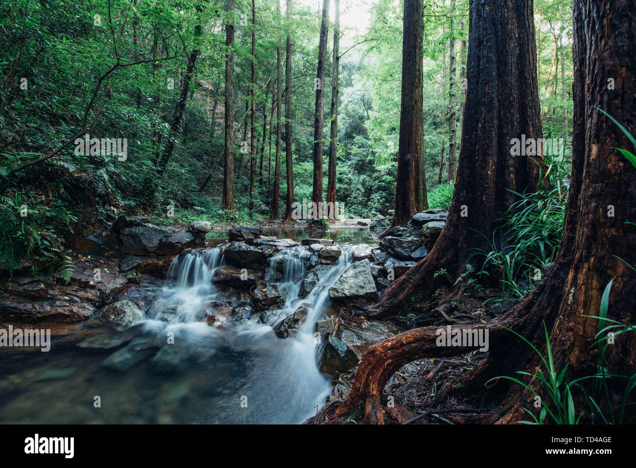 Clear spring stone upstream Stock Photo - Alamy