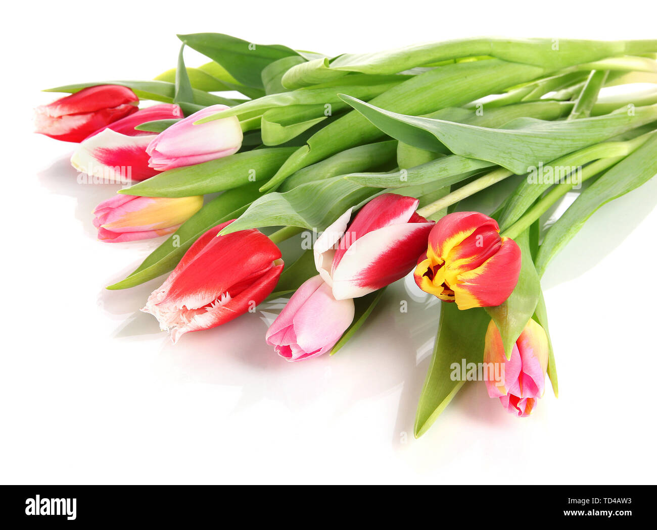 Beautiful tulips in bucket isolated on white Stock Photo - Alamy