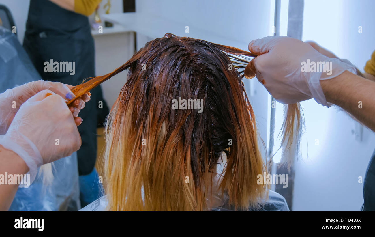 Professional hairdressers hi-res stock photography and images - Alamy