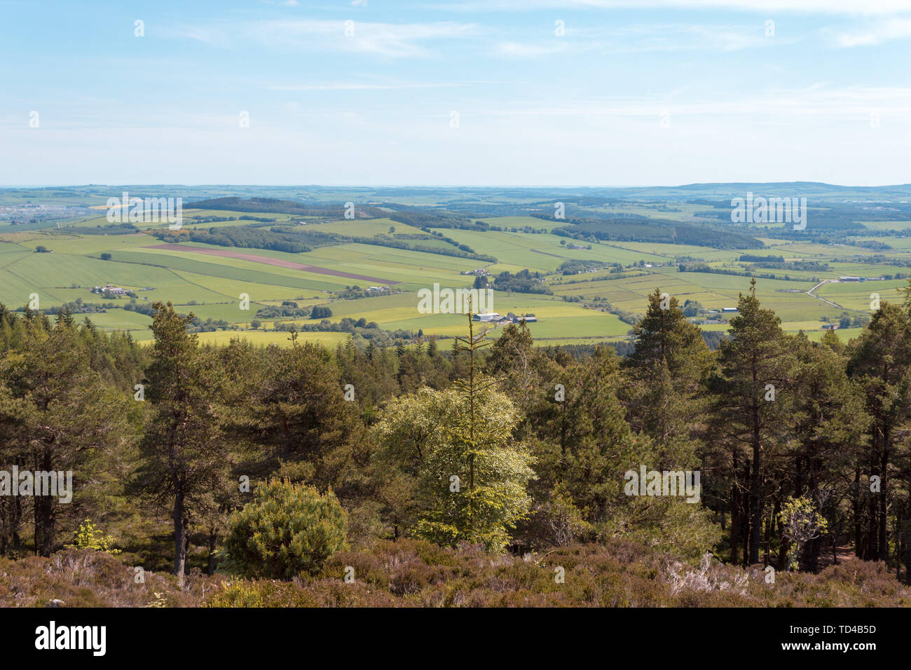 Bennachie mountain hi-res stock photography and images - Alamy