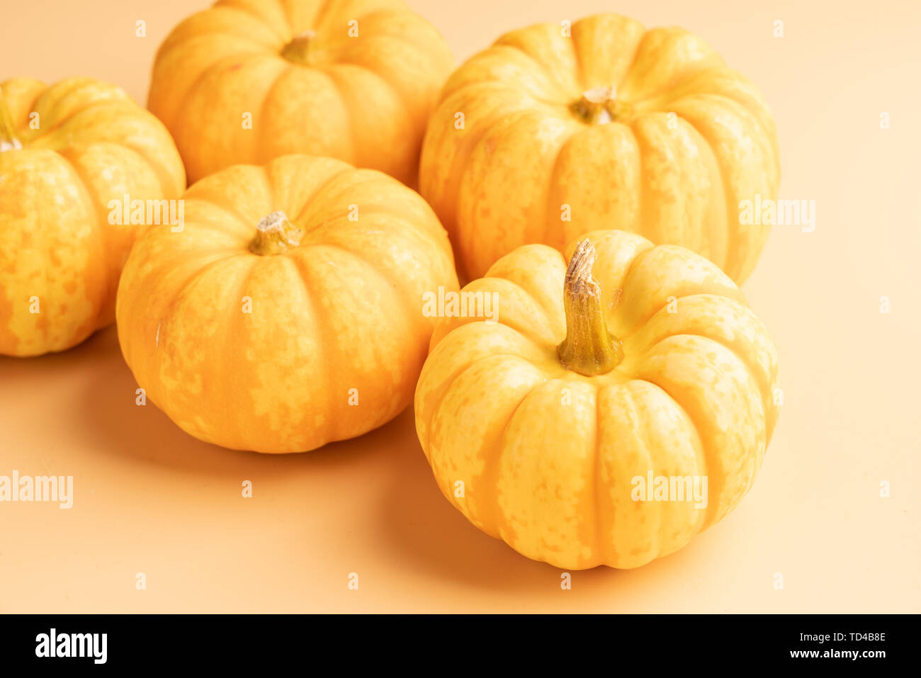 Golden winter melon hi-res stock photography and images - Alamy