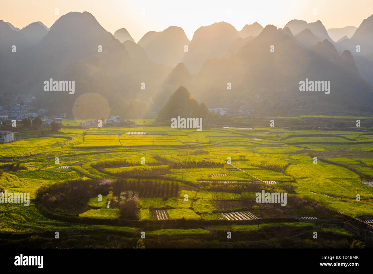 Spring color of Wanfeng forest in Xingyi, Guizhou Stock Photo - Alamy