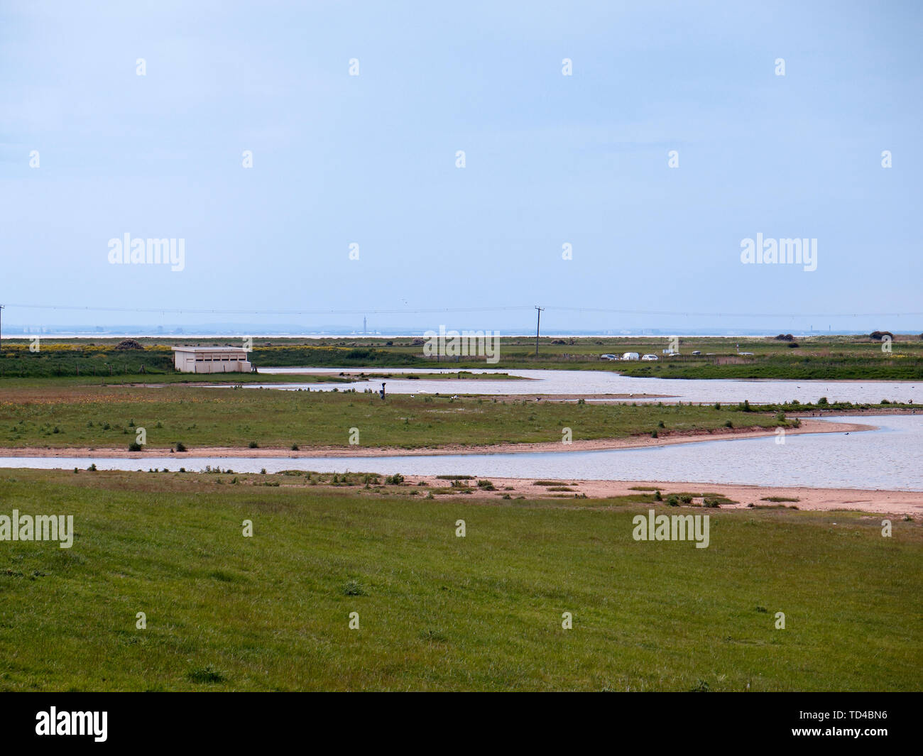 Kilnsea Wetlands nature reserve, Yorkshire June 2019 Stock Photo - Alamy