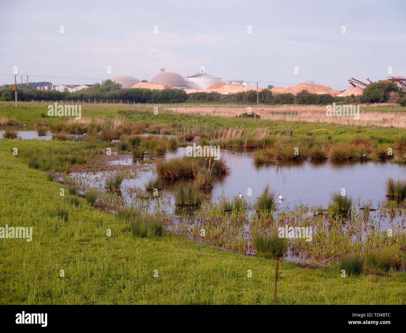 Yorkshire north cave wetlands hi-res stock photography and images - Alamy