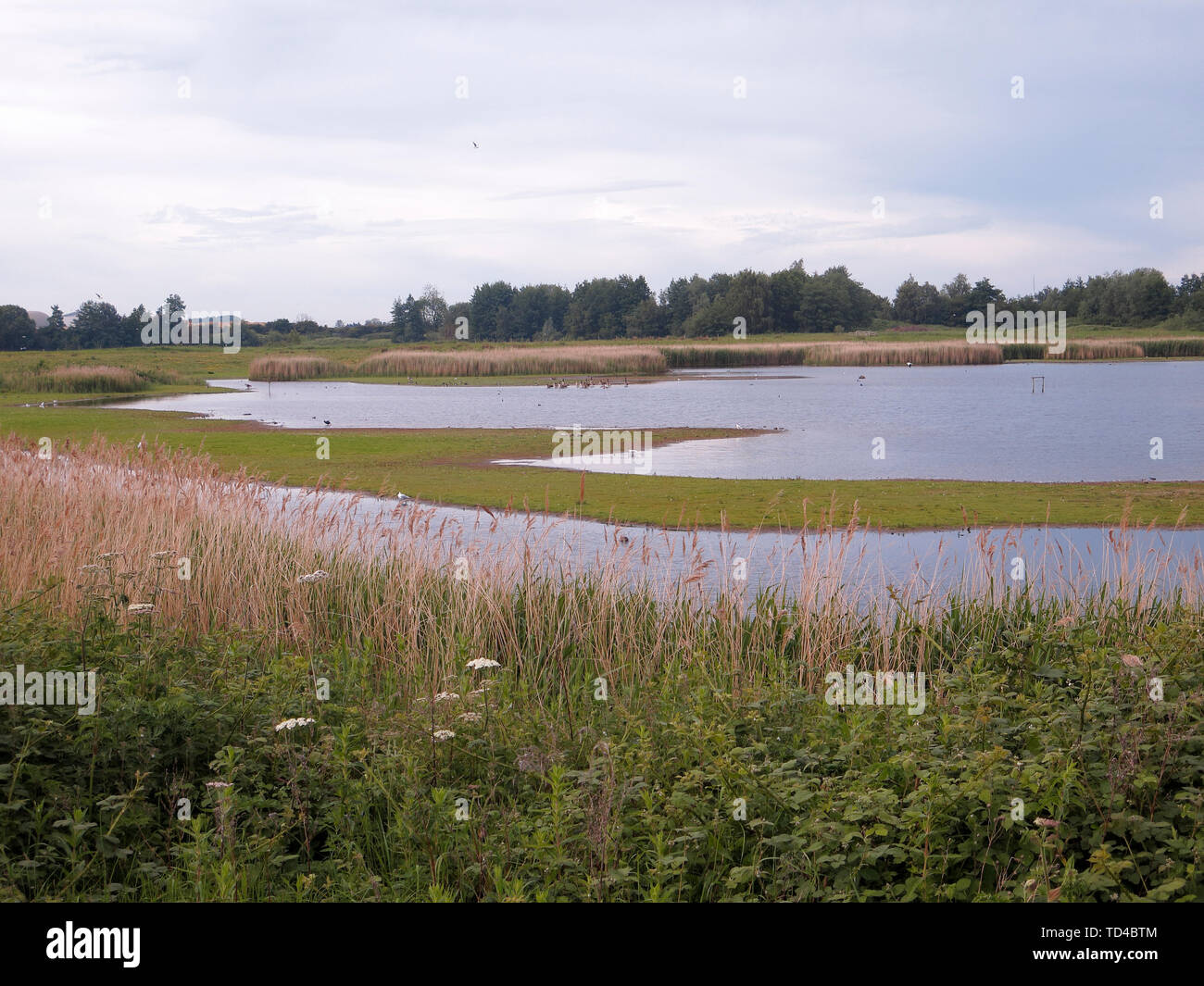Yorkshire north cave wetlands hi-res stock photography and images - Alamy