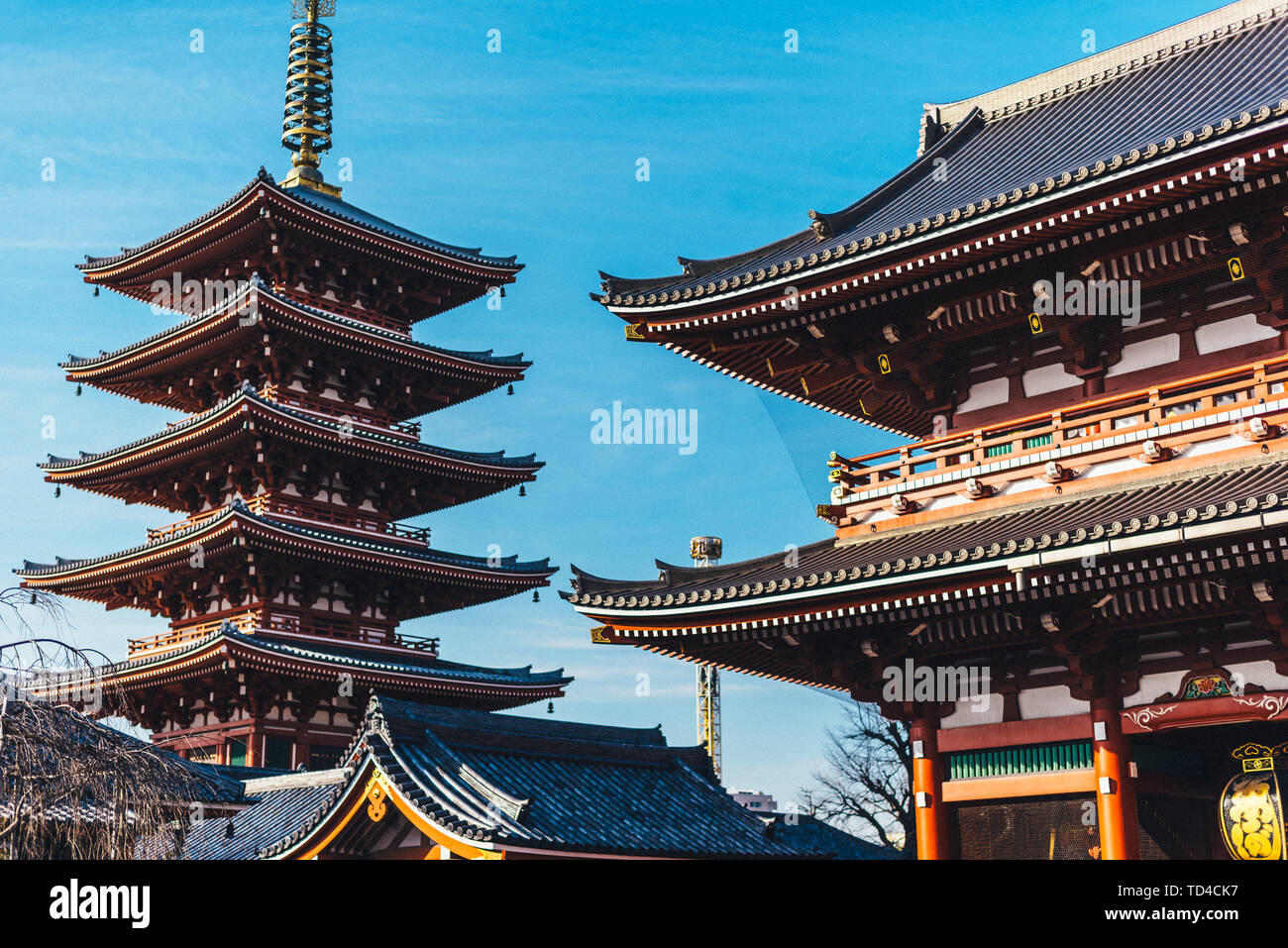 Asakata hi-res stock photography and images - Alamy