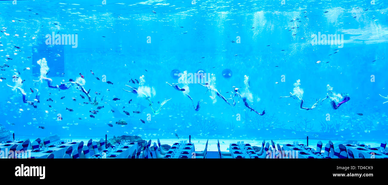 Mermaid performance at Haichang Ocean Park, Shanghai Stock Photo - Alamy