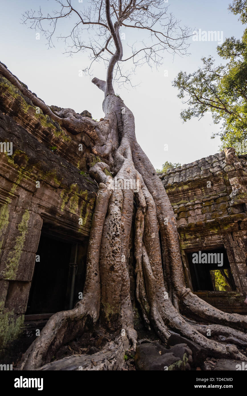 Angkor Wat Angkor's smile Stock Photo - Alamy