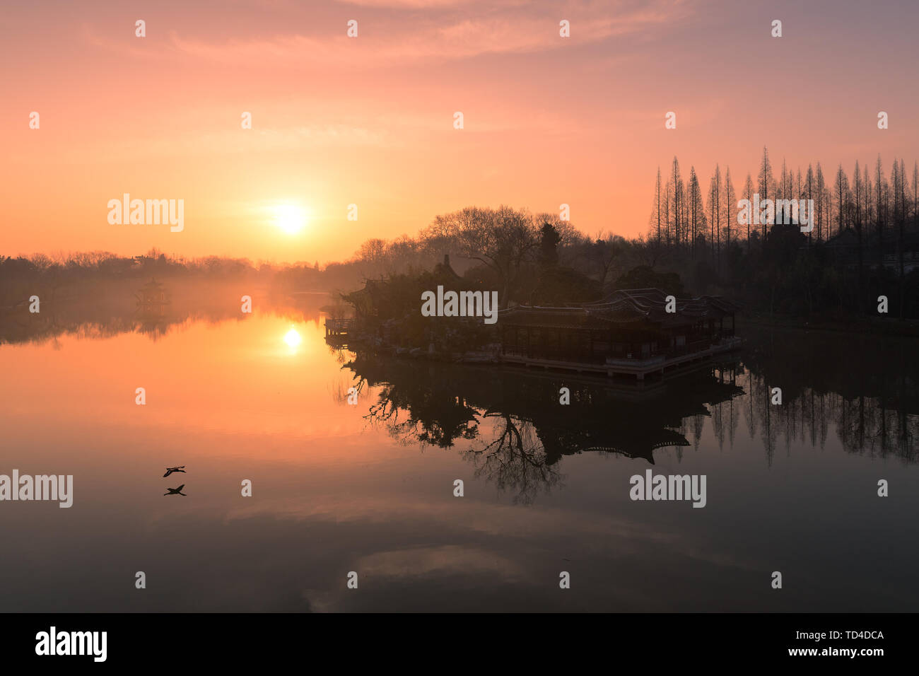 Early Fireworks High Resolution Stock Photography and Images - Alamy