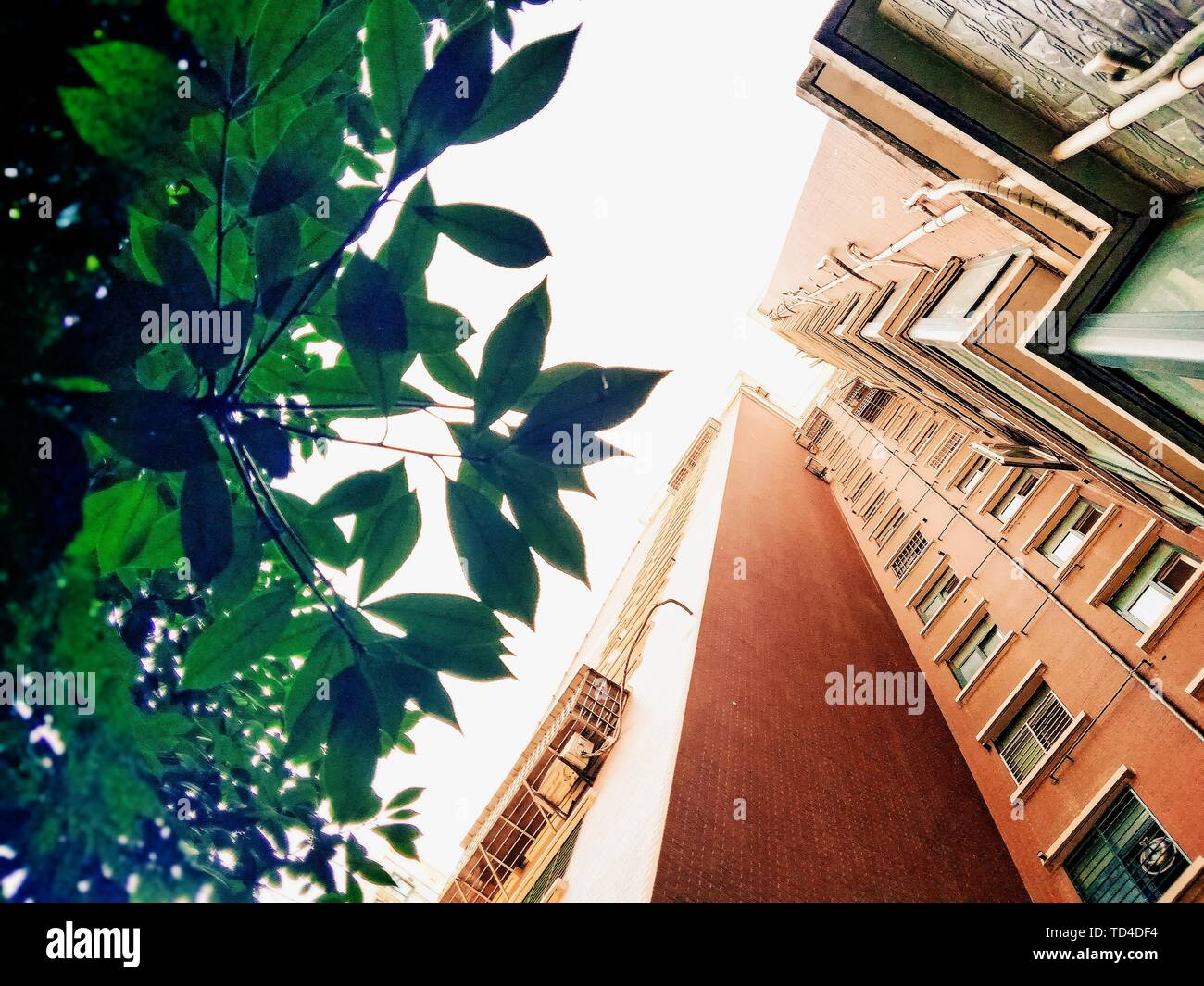 Xiantao hi-res stock photography and images - Alamy