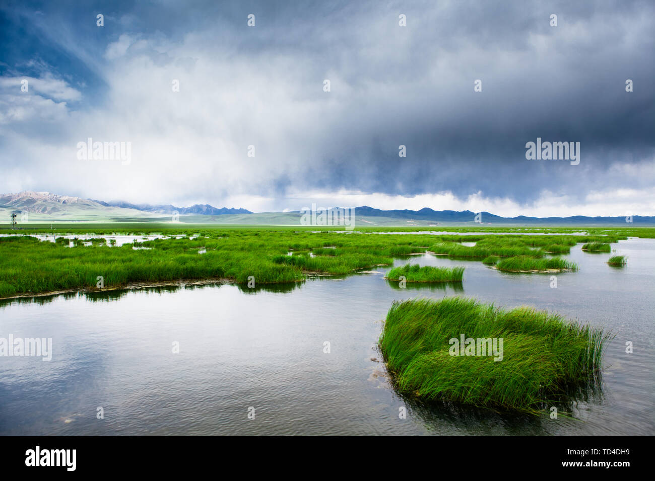 Huahu Wetland Park, Sichuan Stock Photo - Alamy