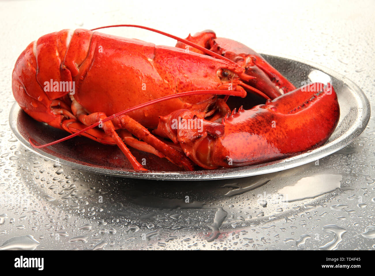Red lobster on tray, on grey background Stock Photo - Alamy
