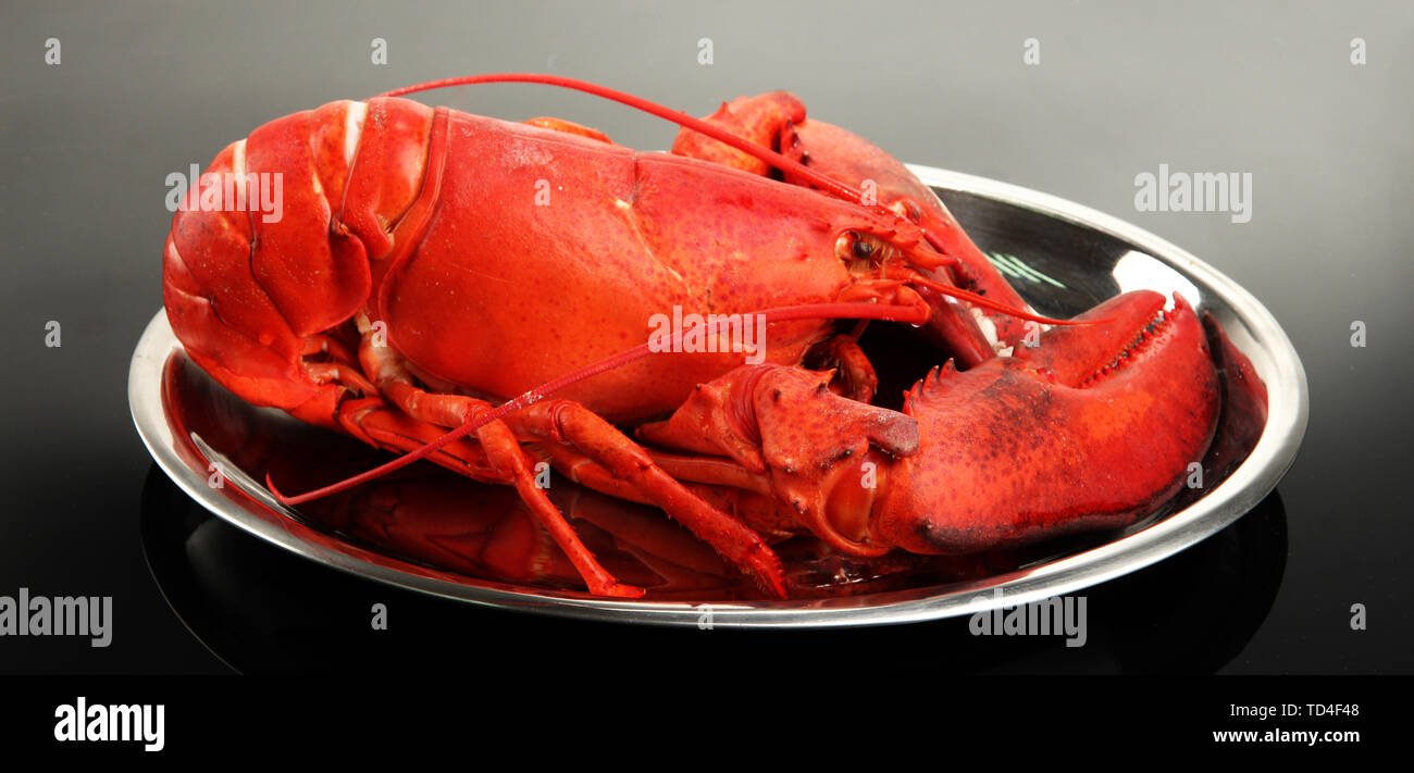 Lobster on silver plate lobster hi-res stock photography and images - Alamy