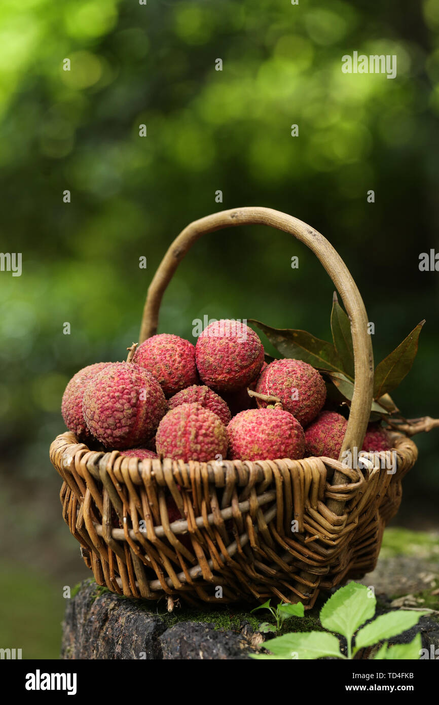Lychee wood hi-res stock photography and images - Alamy
