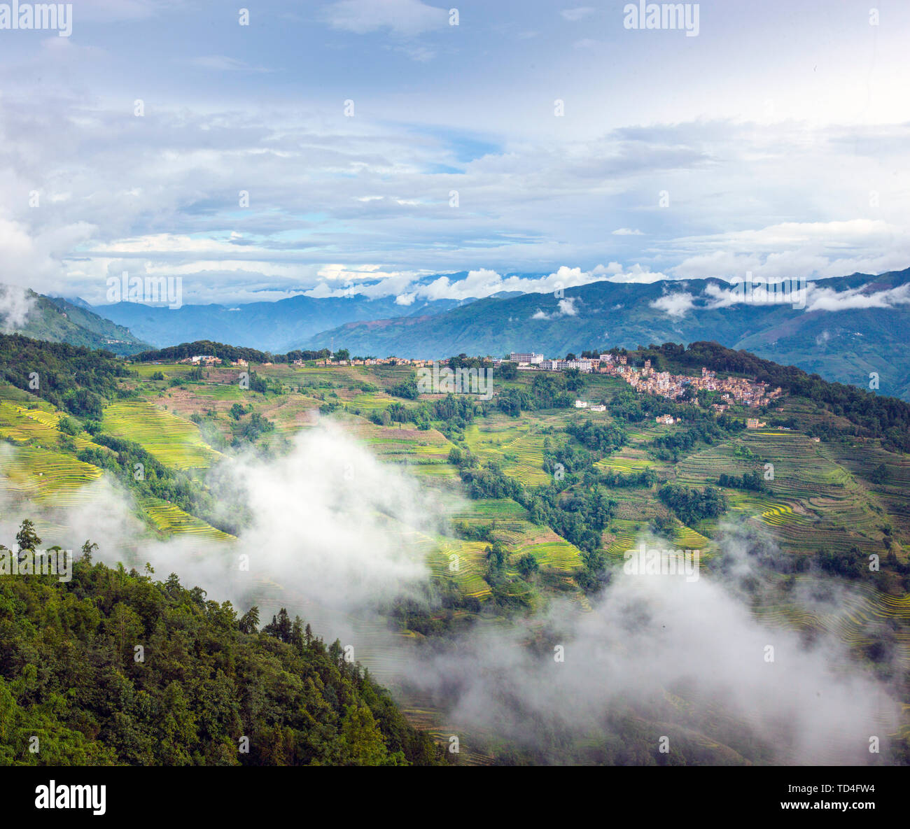 Ailao Mountain scenery Stock Photo - Alamy