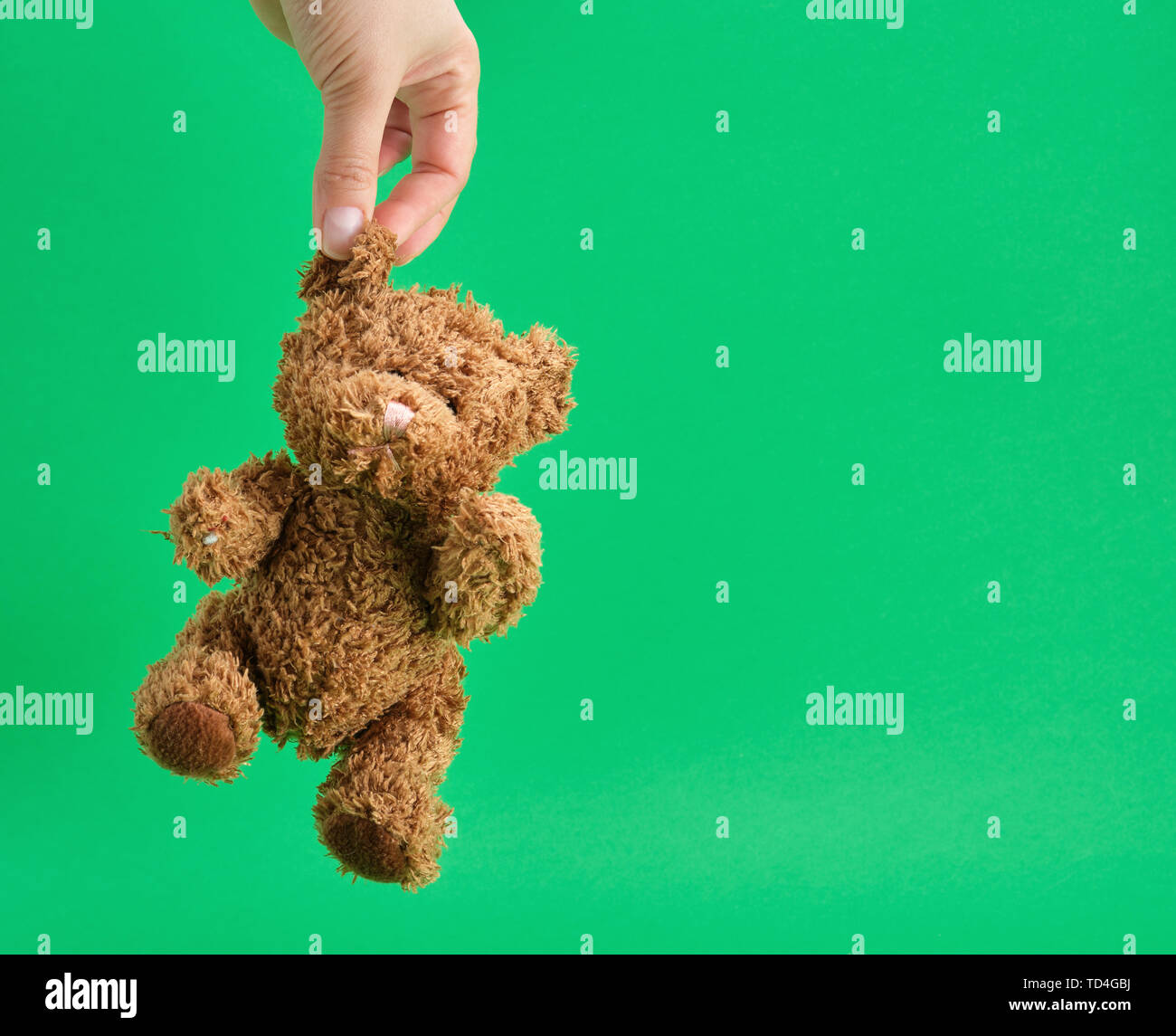 female hand is holding a little teddy bear by the ear on a green ...