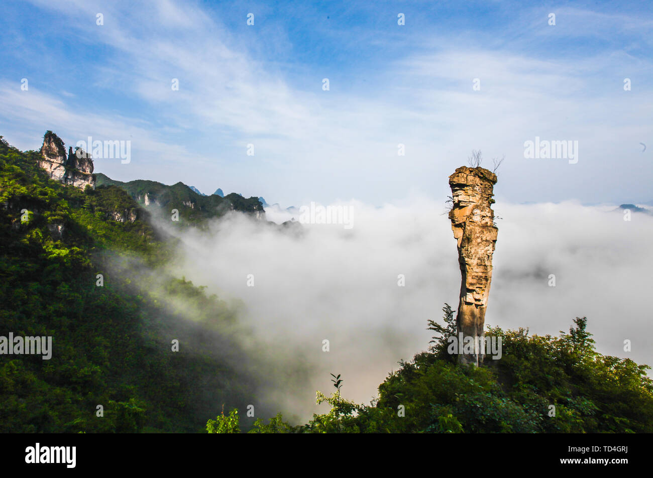 Photographed in Yuntai Mountain, Shi Bing County, Guizhou Province, the ...