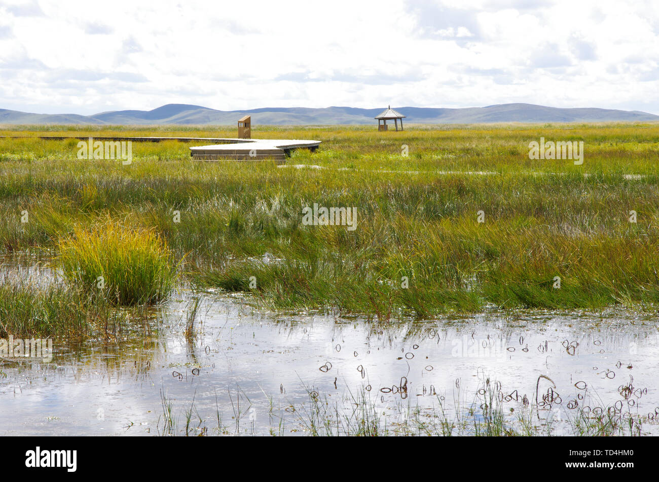 Hua aba prefecture hi-res stock photography and images - Alamy