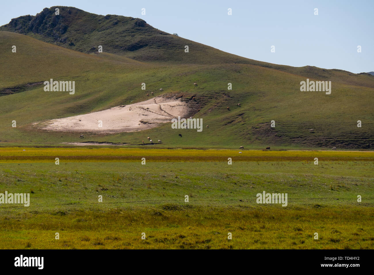 Rich green pastures hi-res stock photography and images - Alamy