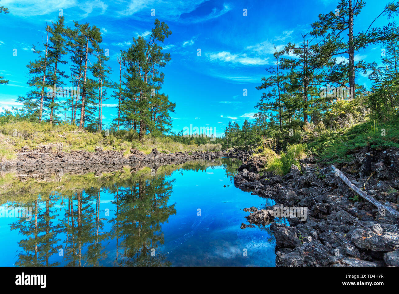 Lin tong hi-res stock photography and images - Alamy