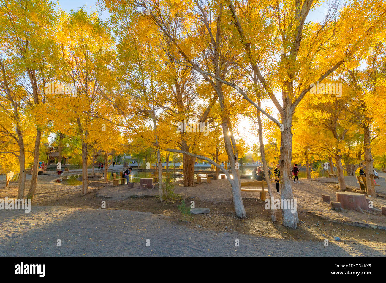 Hu yang and hu yang lin hi-res stock photography and images - Alamy