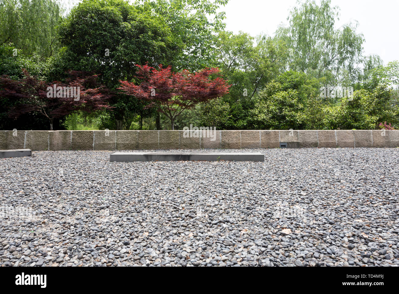 Empty sandstone ground in park with plant Stock Photo - Alamy