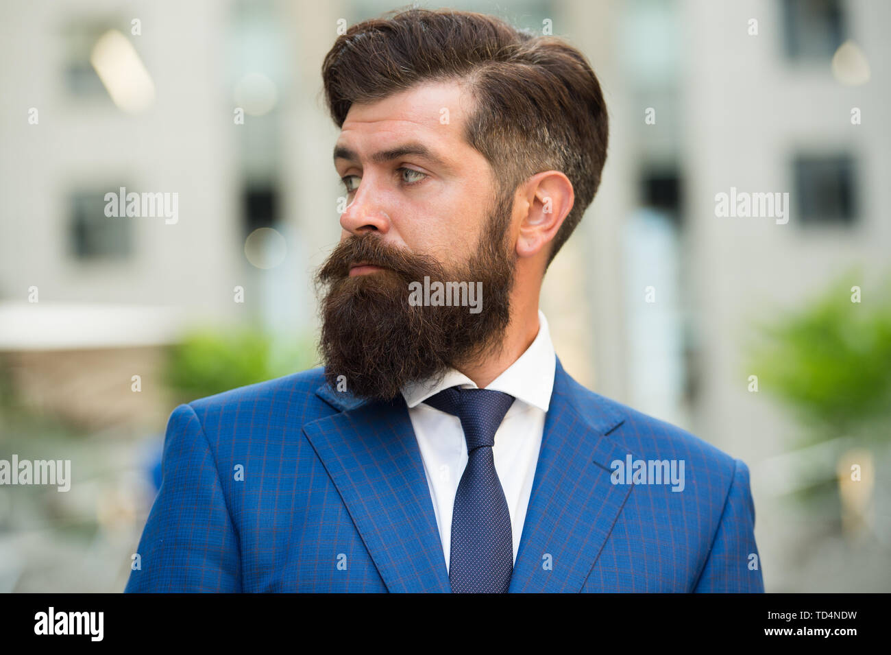 Business life. Man stylish businessman. Successful and motivated for ...