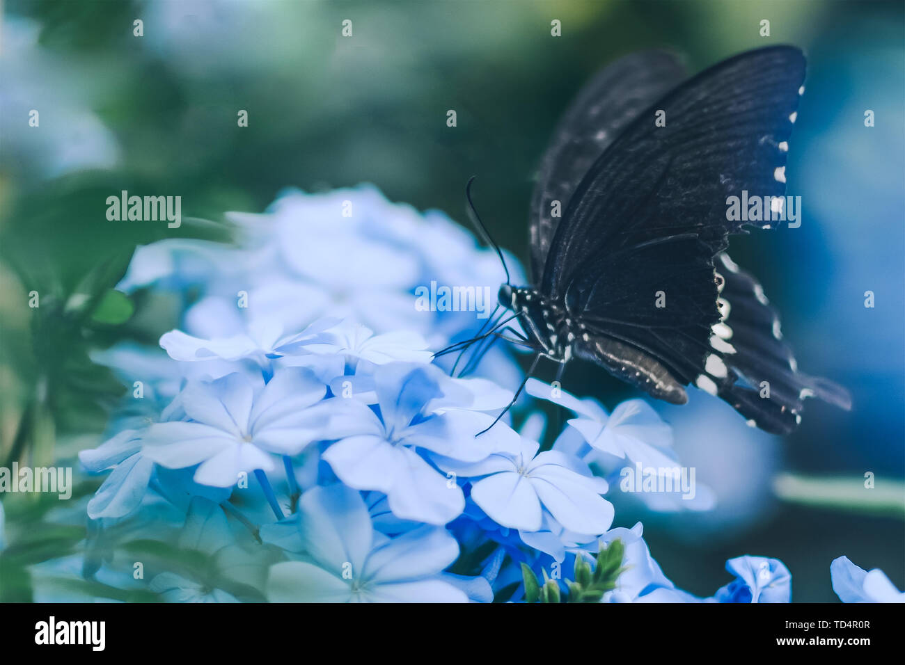 Biology lovers hi-res stock photography and images - Alamy