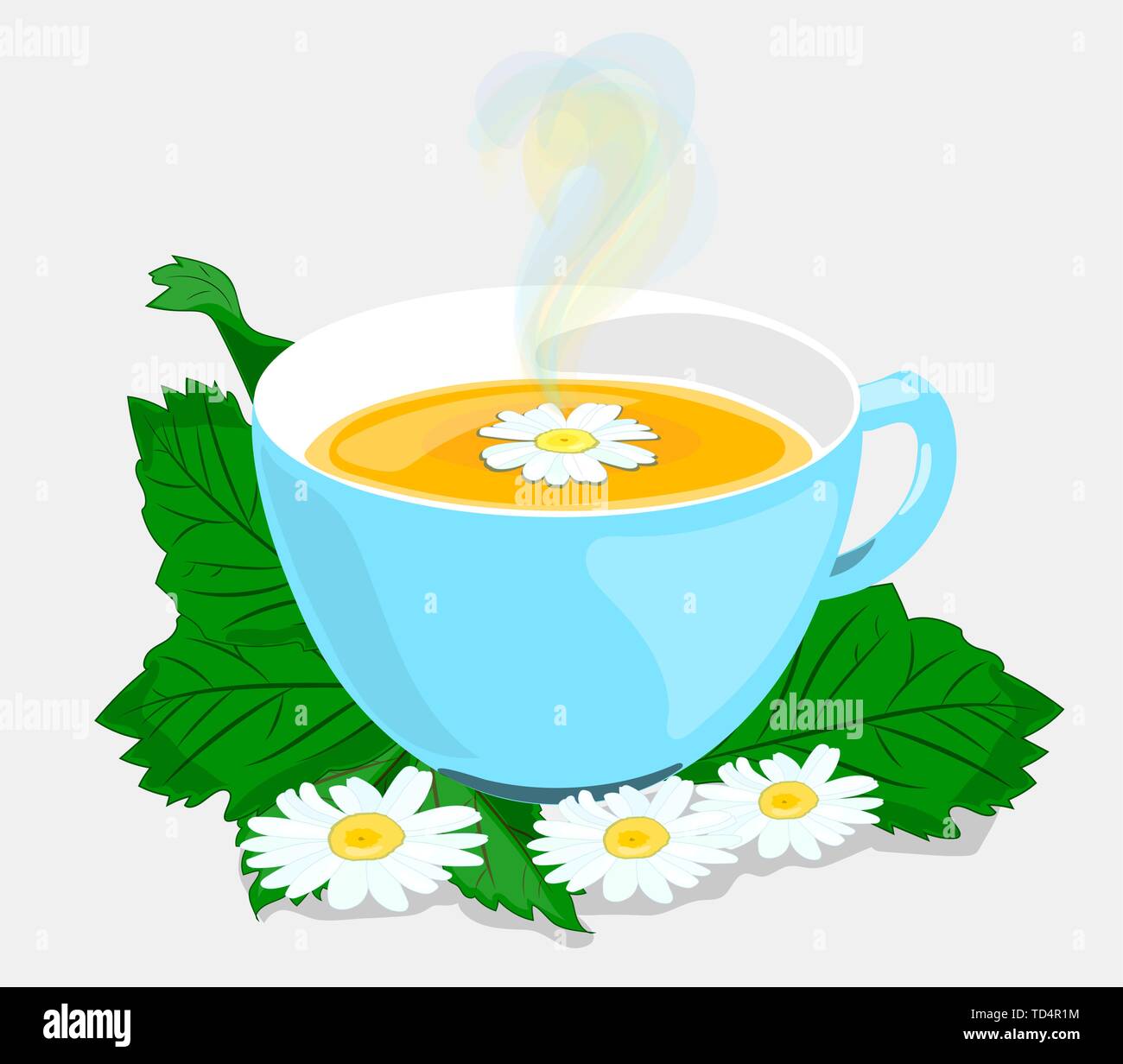 Chamomile. Chamomile tea. Useful medicinal drink from the flowers of ...